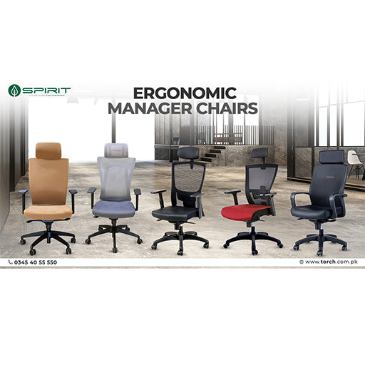 Imported High end Chairs - Spirit Furniture